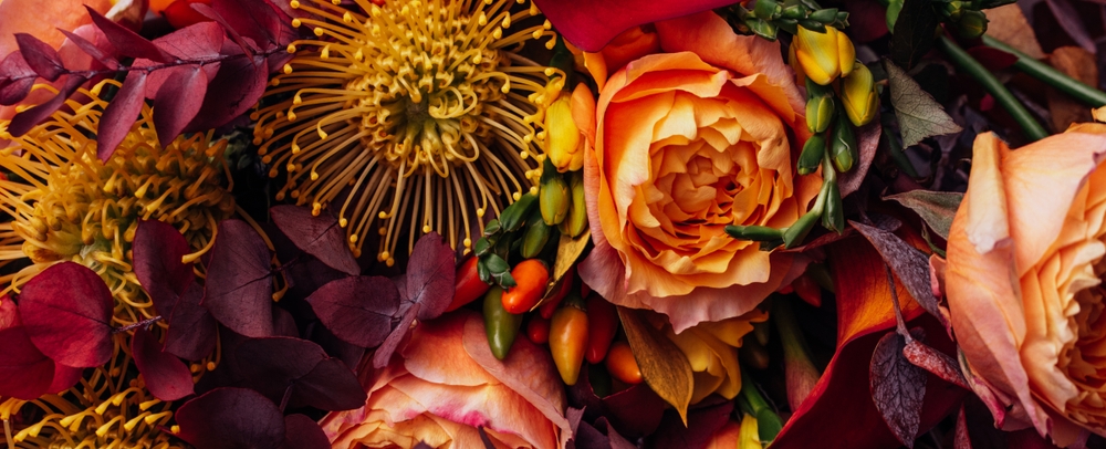 Best Plants for Fall Planting: A Comprehensive Guide – The Cutting Edge ...